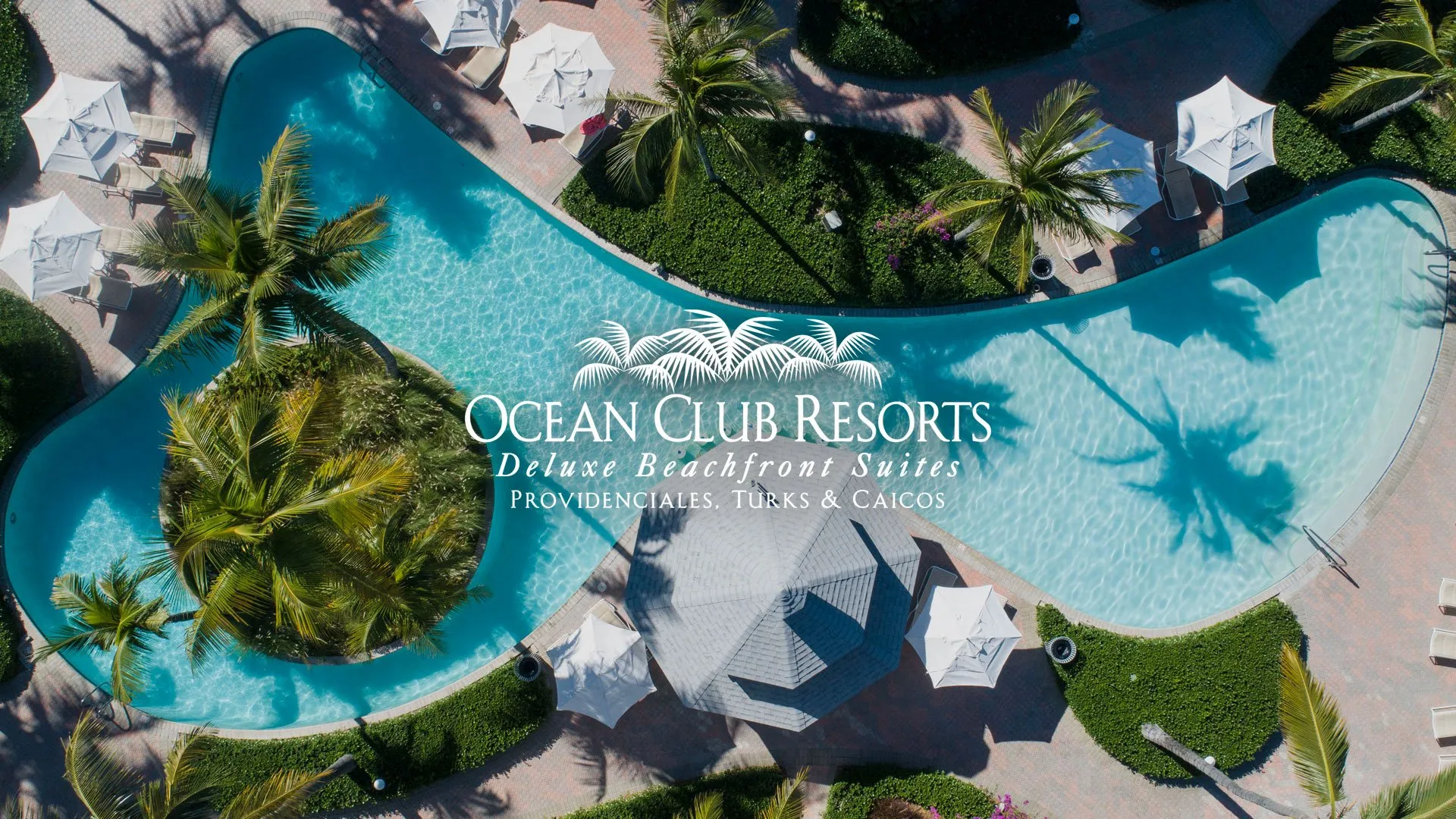 Ocean Club Resorts - Turks & Caicos - Barnes Creative Studios